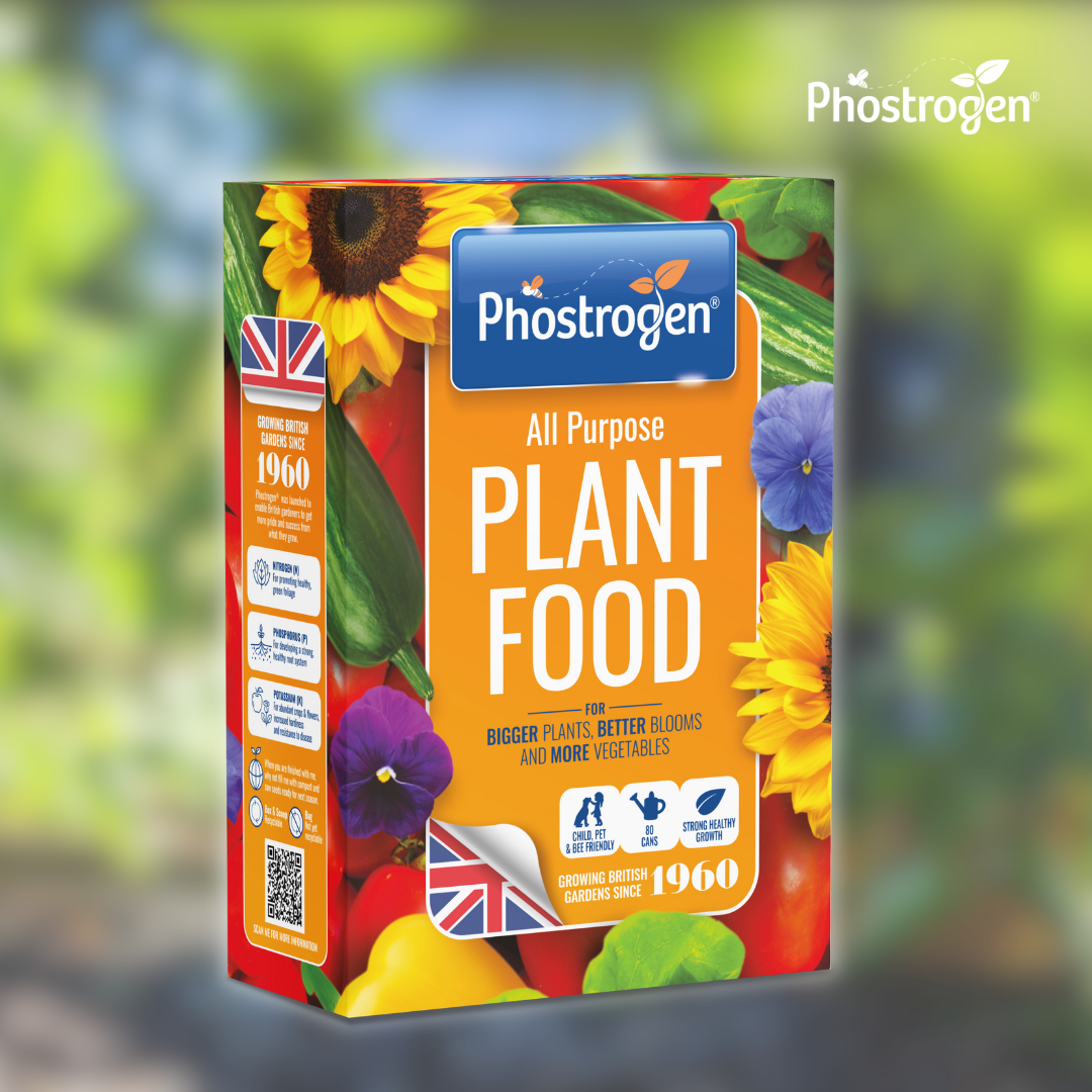 Phostrogen All Purpose Plant Food - Glee Birmingham 2025
