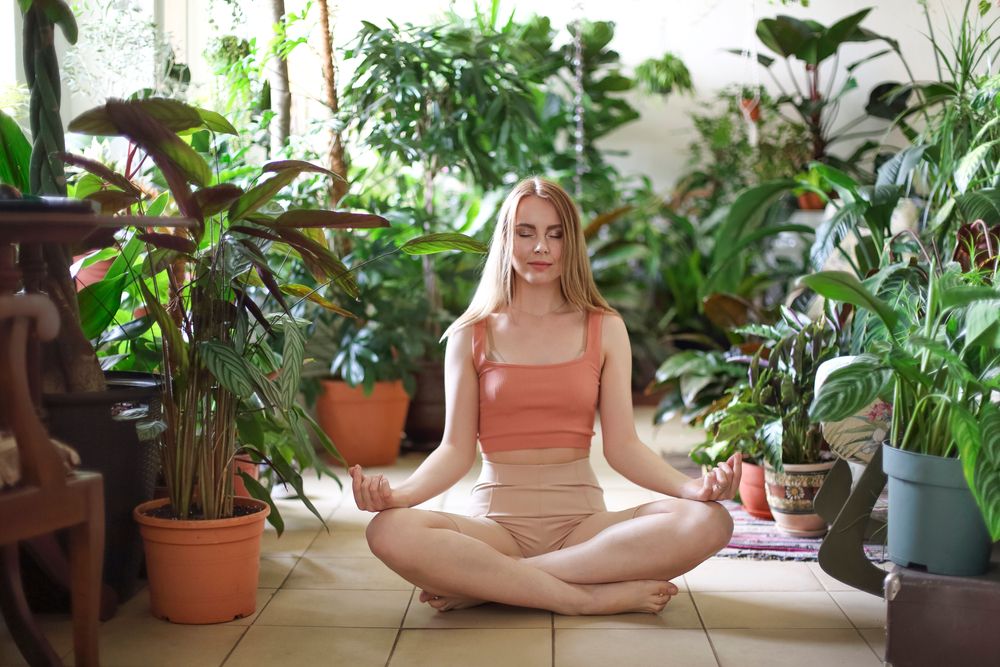 8 Innovative Ways to Expand Offerings at Garden Centres