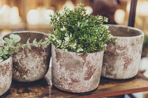 Spring Fair | 4-7 February 2024 | NEC Birmingham