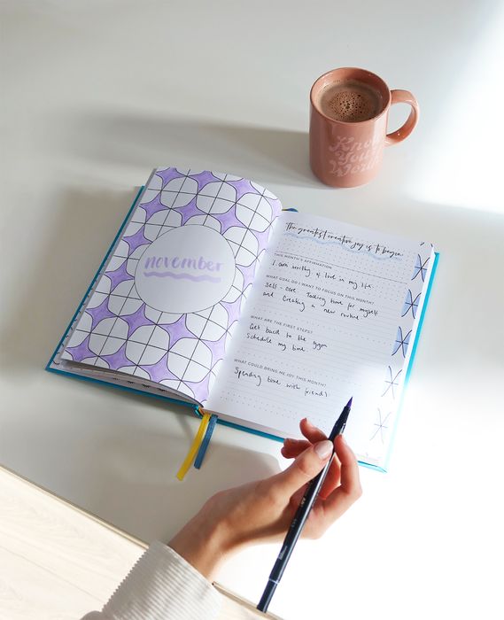 The Positive Bullet Diary - Spring Fair 2026