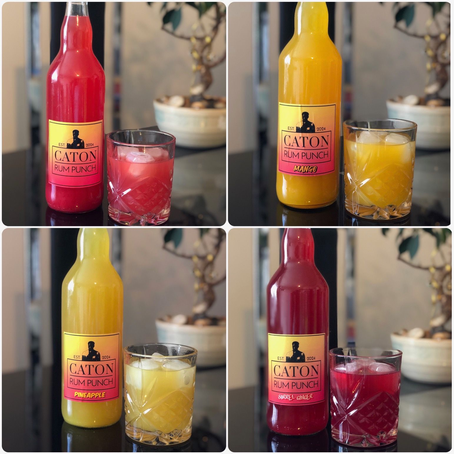 Caton Rum Punch - Autumn Fair 2025