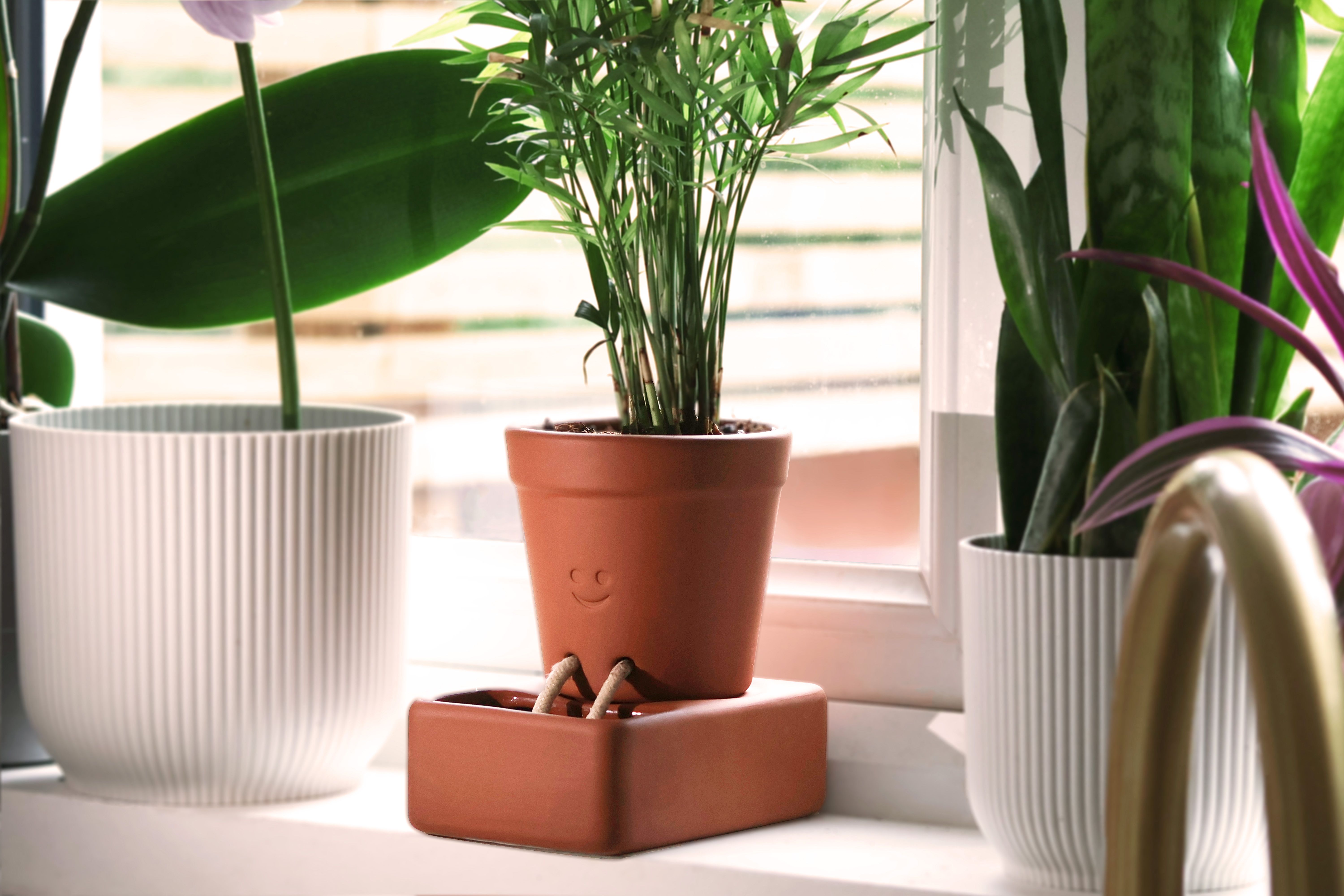 Self-Care Planter - Autumn Fair 2025