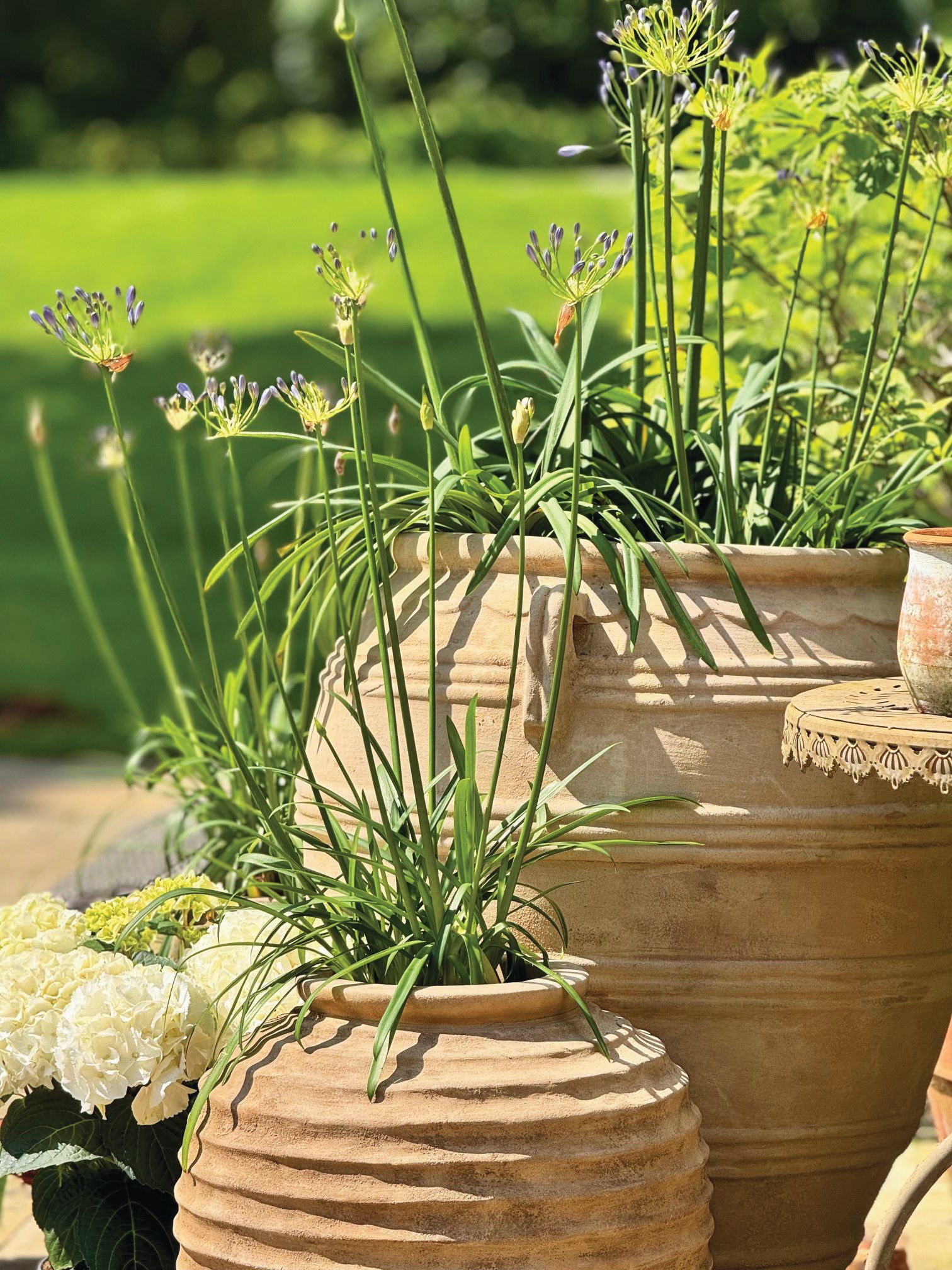 OLIVE & FISKARDO FROSTPROOF POTS - Autumn Fair 2025