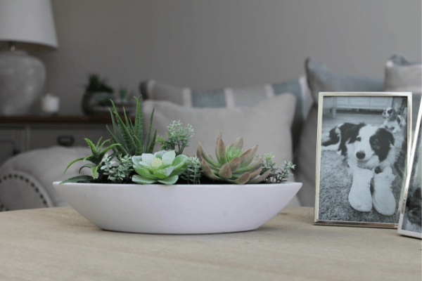 5 Unique and Innovative Gifts you Need - Autumn Fair 2025