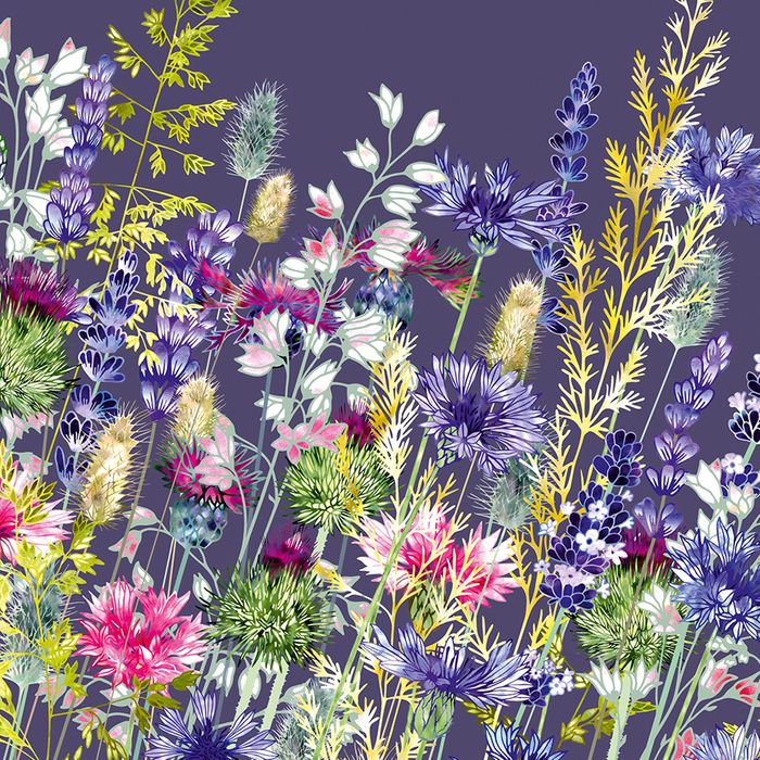 Fiona Calder greeting cards range - Spring Fair 2026