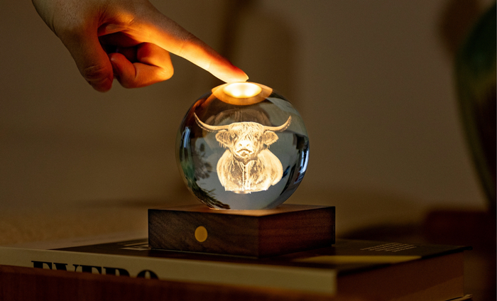 Amber Crystal Light - Spring Fair 2026