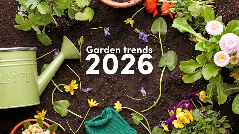Top 10 Garden Trends for 2026