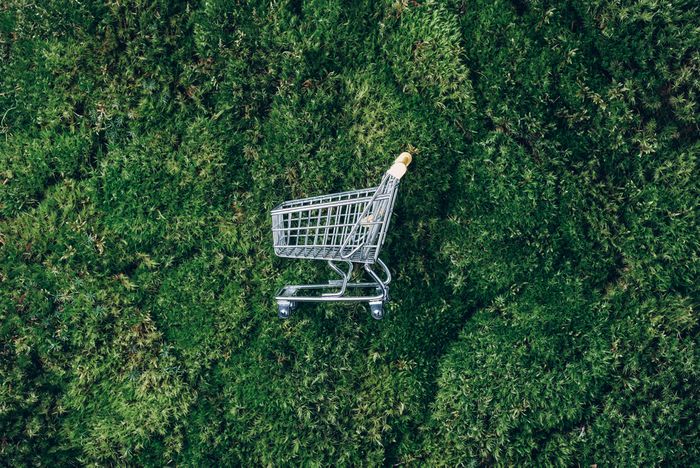 Sustainable Store Design: Creating Eco-Friendly Retail Spaces
