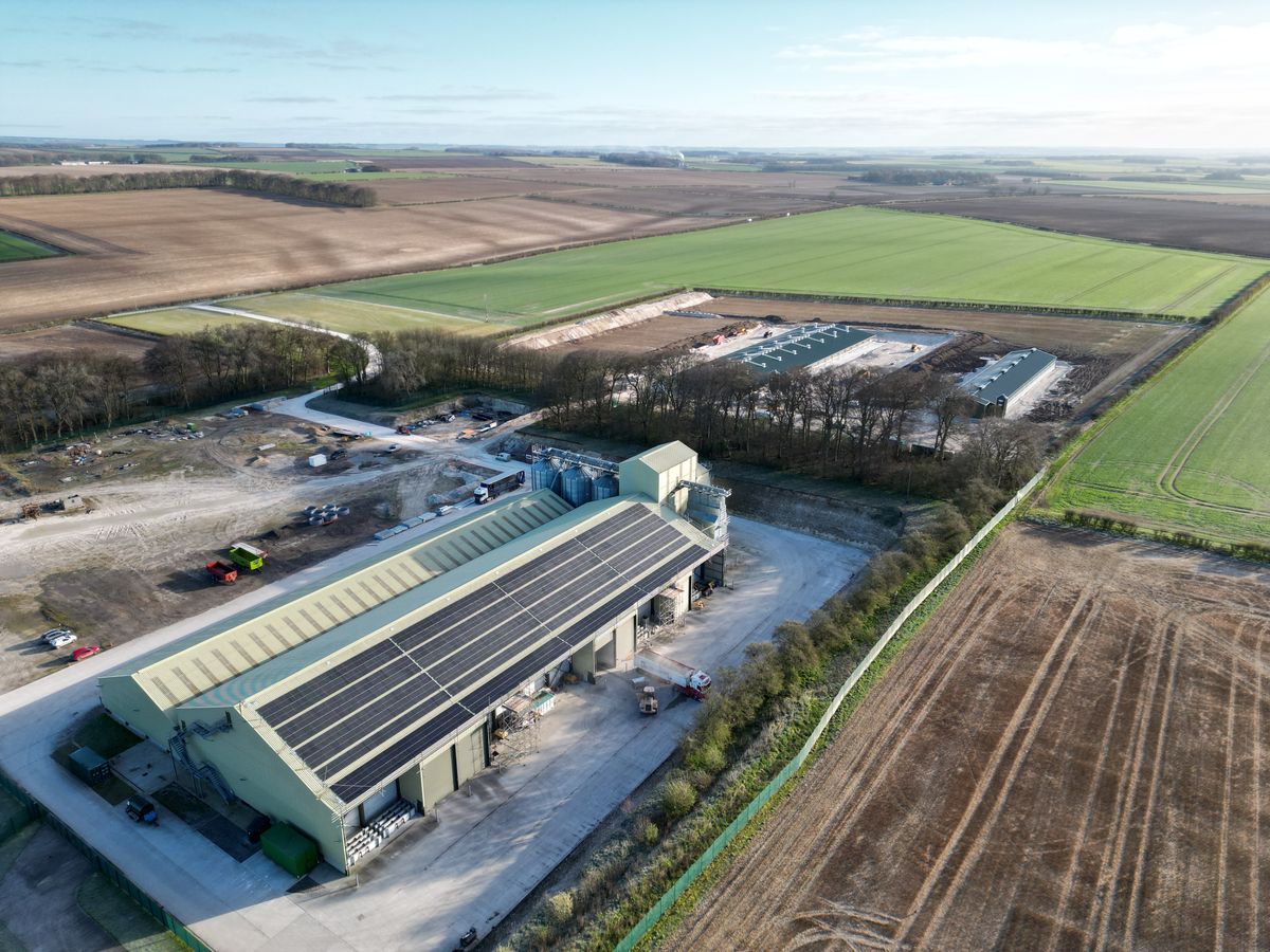 0 Cost Solar PV Feasibility Study - Lamma Show