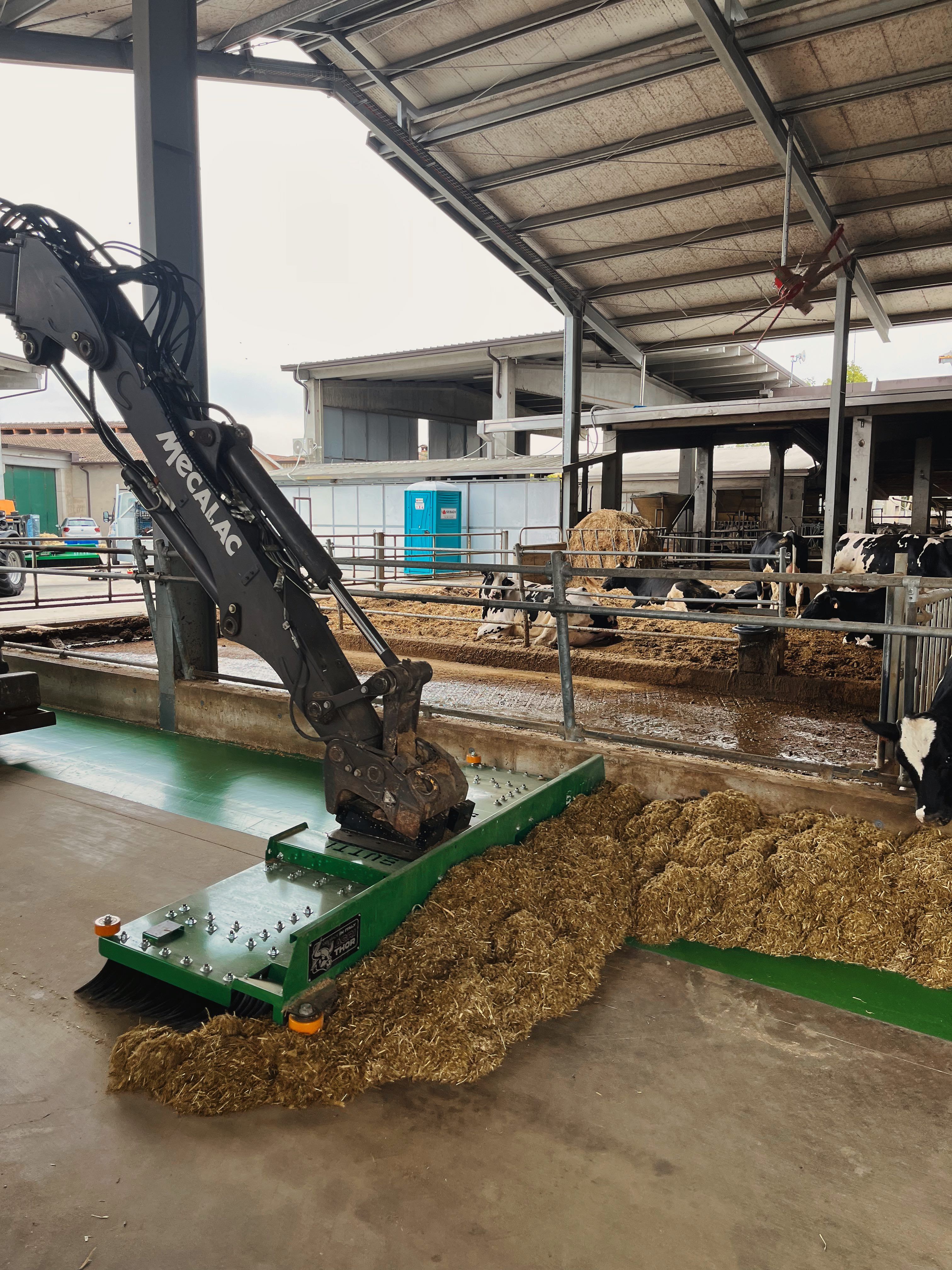 AGRITHOR - Lamma Show