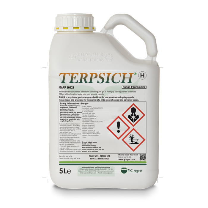 TERPSICH - Lamma Show