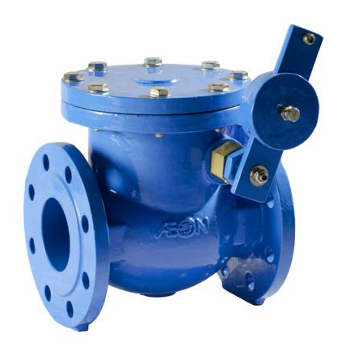 Swing Check Valves - Lamma Show