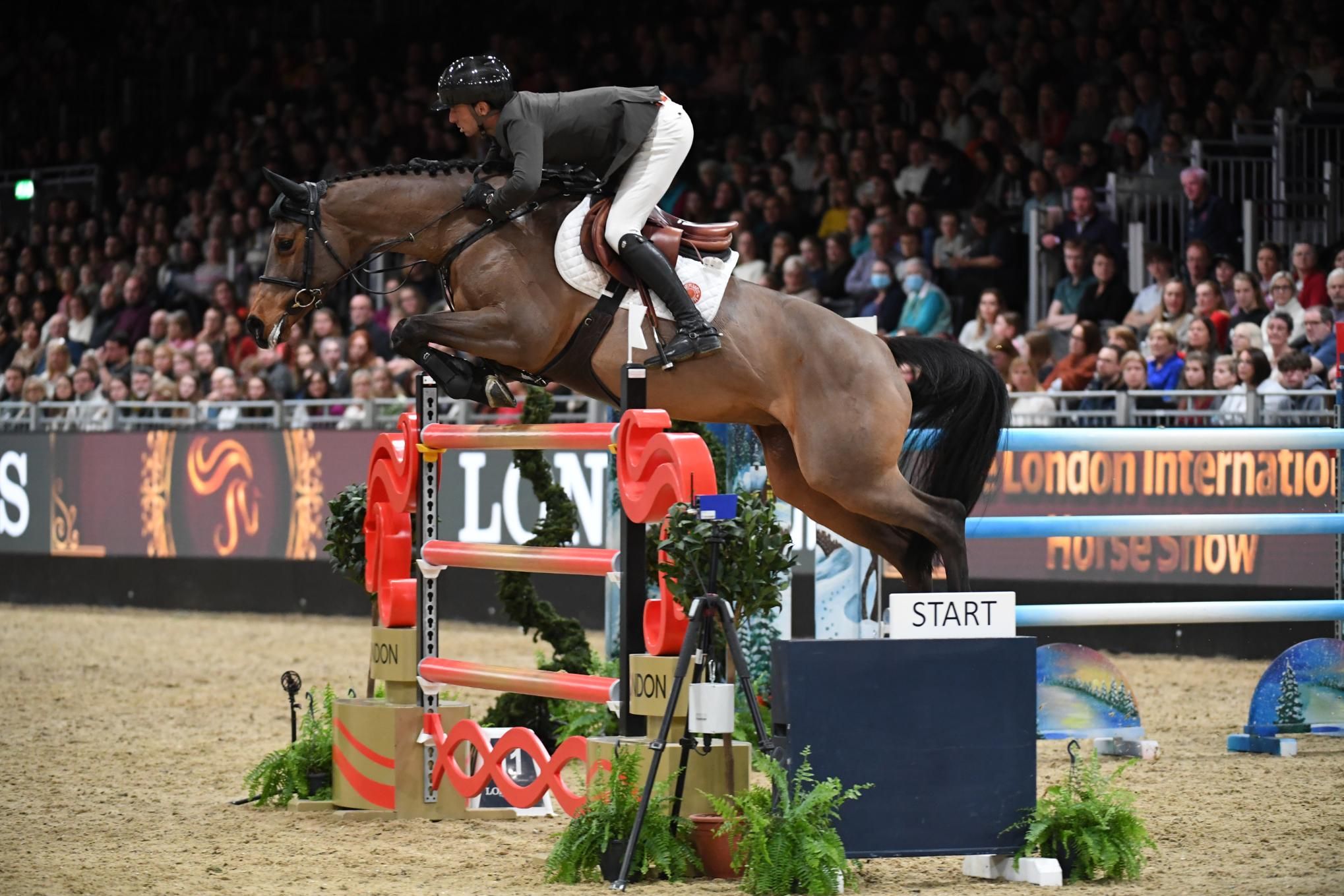 The Hong Kong International Horse Show