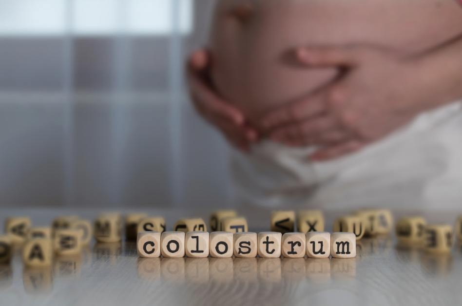 Colostrum Harvesting - The Baby Show