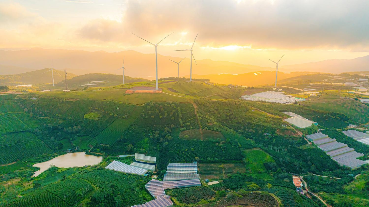 Energy Transition for SMEs: Practical & Sustainable Pathways | Enlit ...