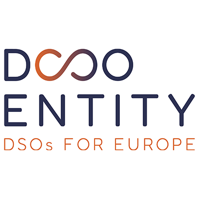 DSO Entity - Enlit Europe 2024