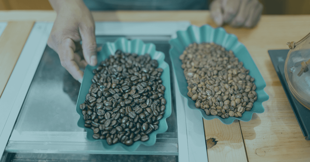 Celebrating Hispanic Excellence in Specialty Coffee at Coffee Fest Los ...