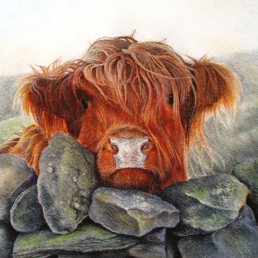 Caroline Riley greeting cards range - Retail Revealed