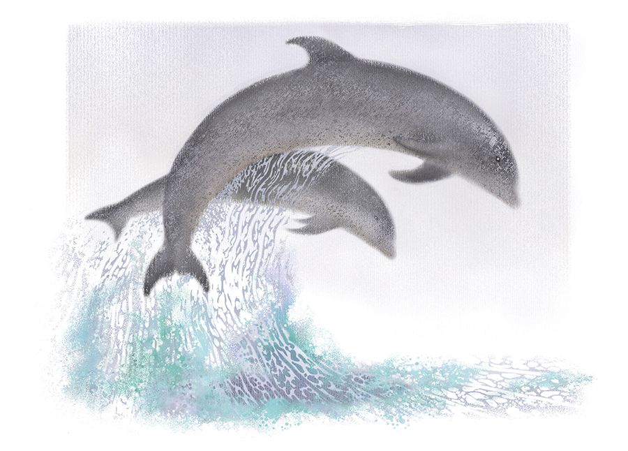 Ray Ogden greeting cards range - Retail Revealed
