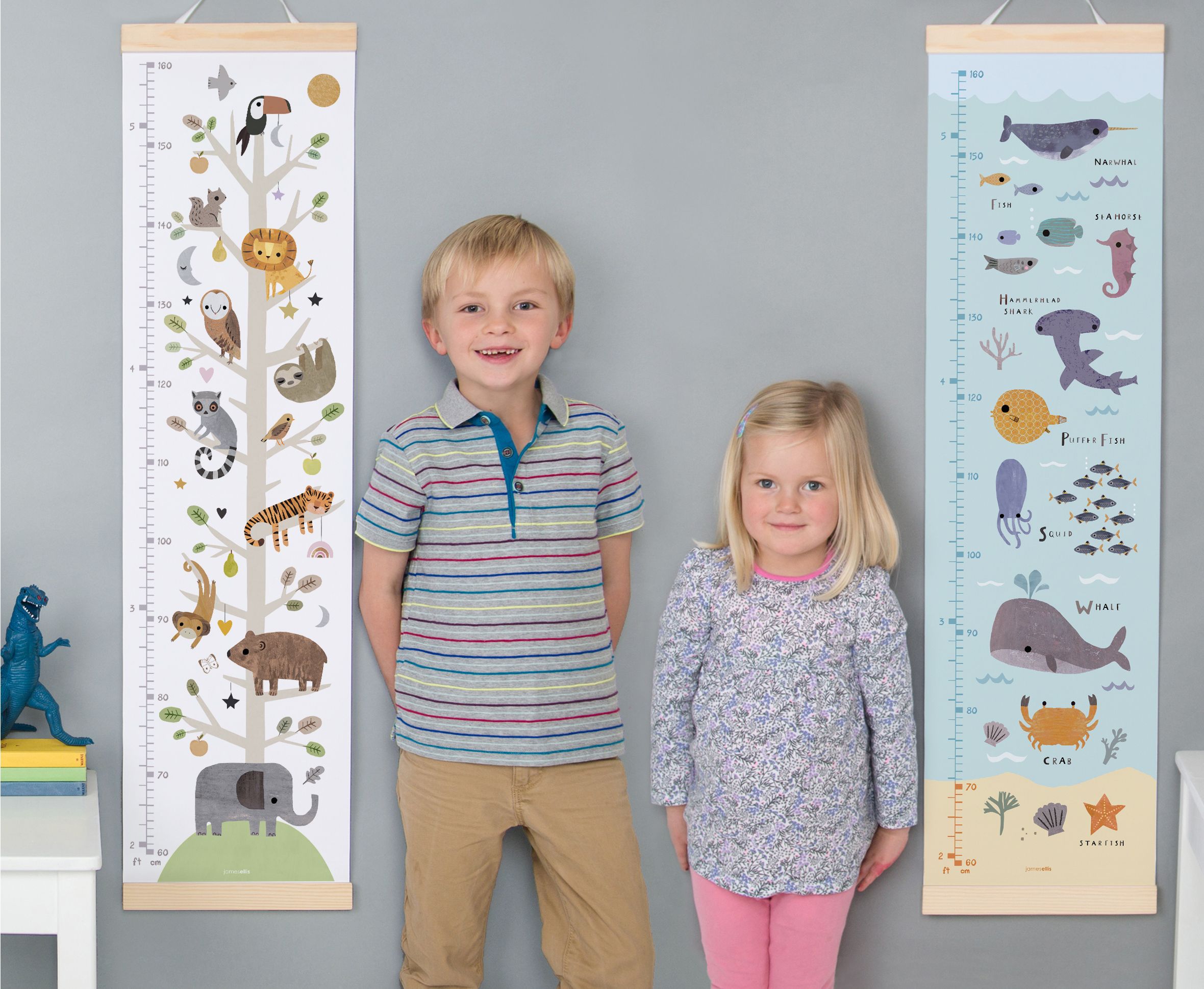 Height Charts - REVEAL