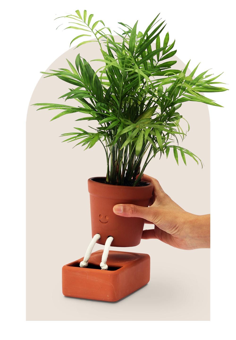 Self-Care Planter - REVEAL