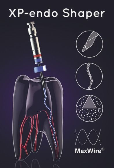 XP-endo Shaper - Dentistry Show 2021 - Working Together For Better ...