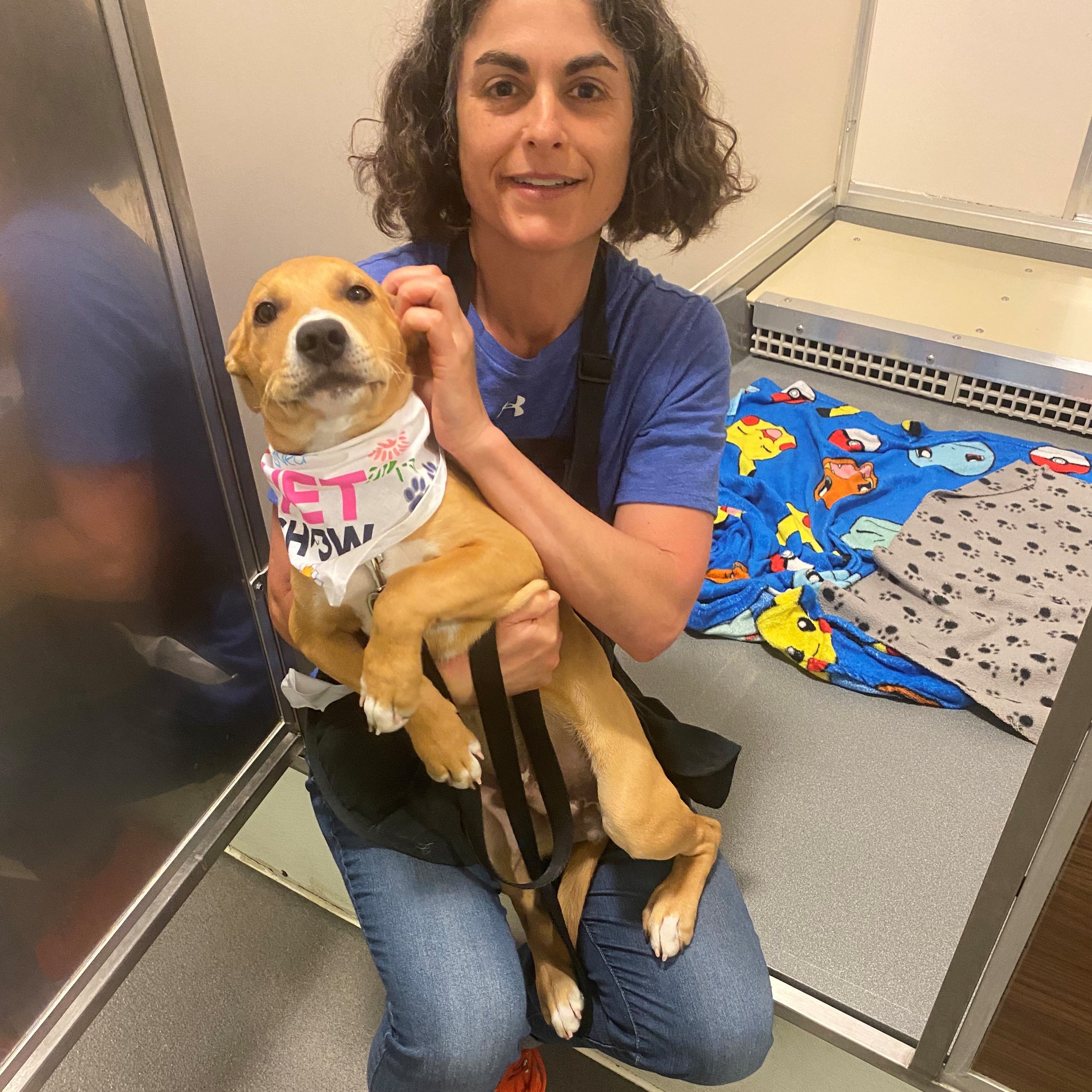 How Much Does It Cost To Adopt A Dog From Paws Chicago