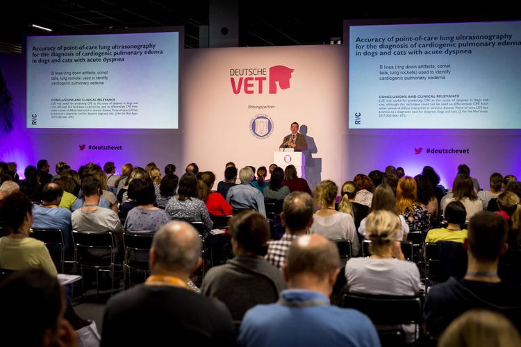 Welcome - Vet Portfolio