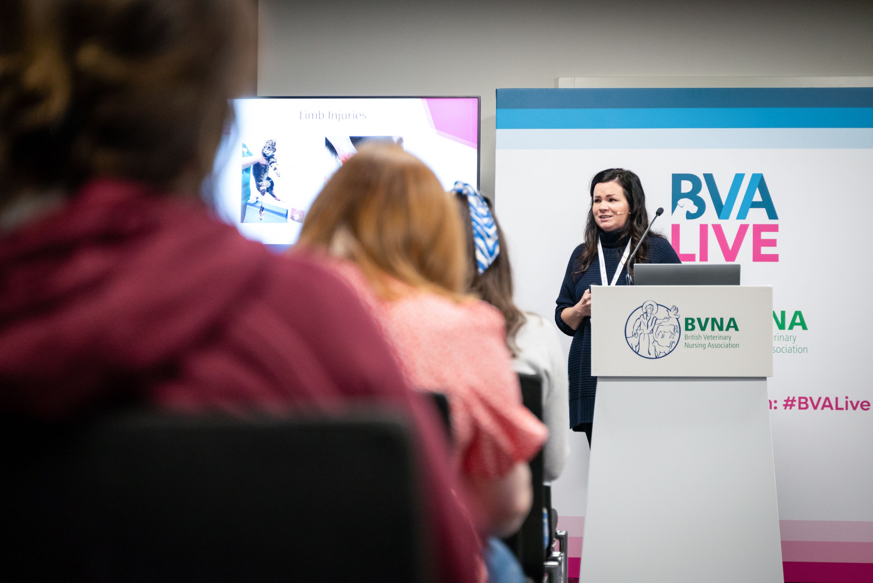 The BVNA Nursing Theatre Returns for BVA Live 2024 - BVA Live 2025