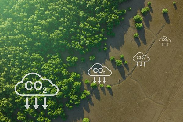 DNV and PETRONAS combine their CCS projects to create carbon capture ...