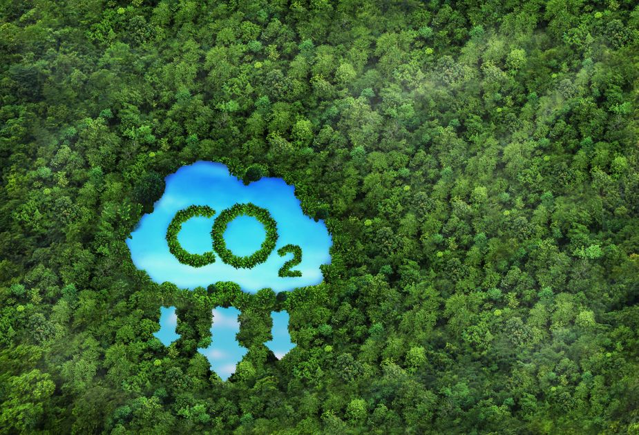 Celanese has begun a CCUS project at their Texas site - Carbon Capture Technology Expo North ...