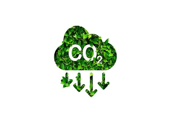The First Official Certification Framework for Carbon Removals has been ...