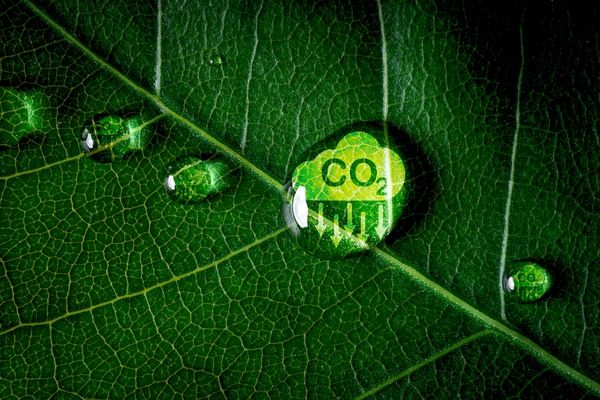 Carbon dioxide has been converted into usable fuel through a novel ...