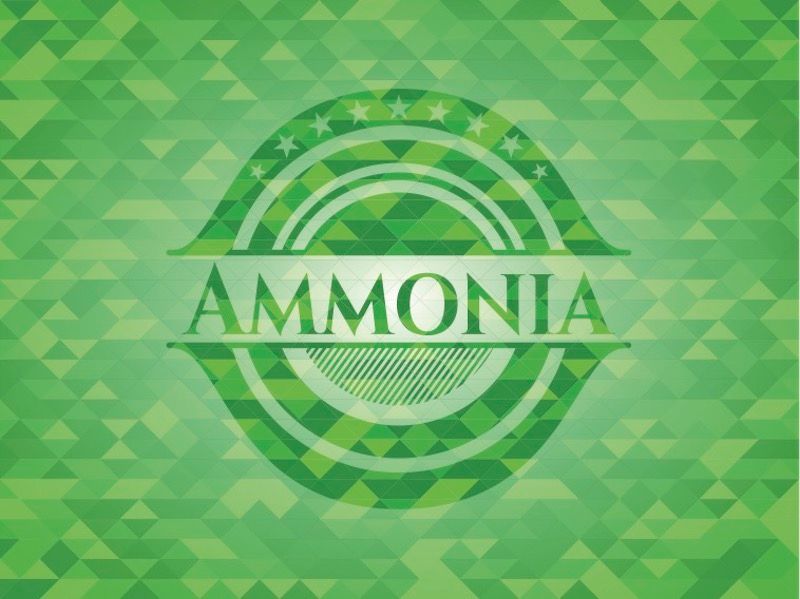 International Trade of Green Ammonia Could Start as Early as 2025 ...