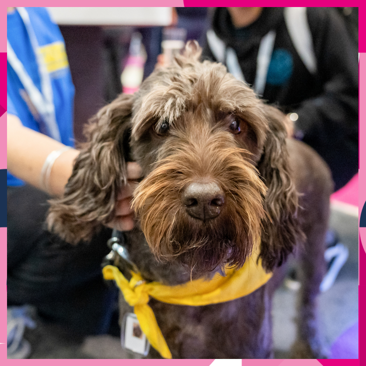 New Year, New Trends: What’s Ahead for the Veterinary Industry in 2025 ...