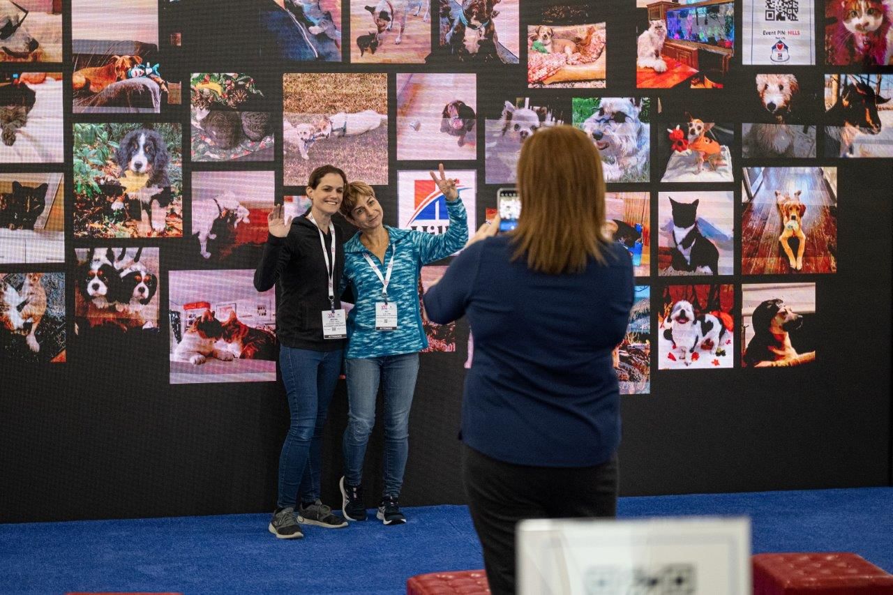 Why Exhibit | New York Vet