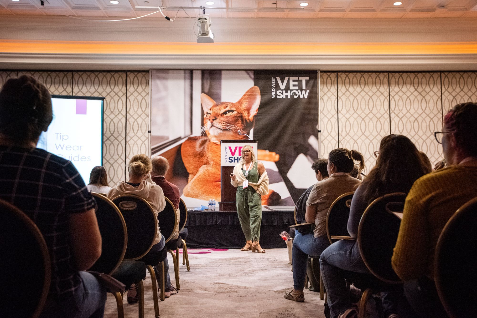 Pricing | New York Vet