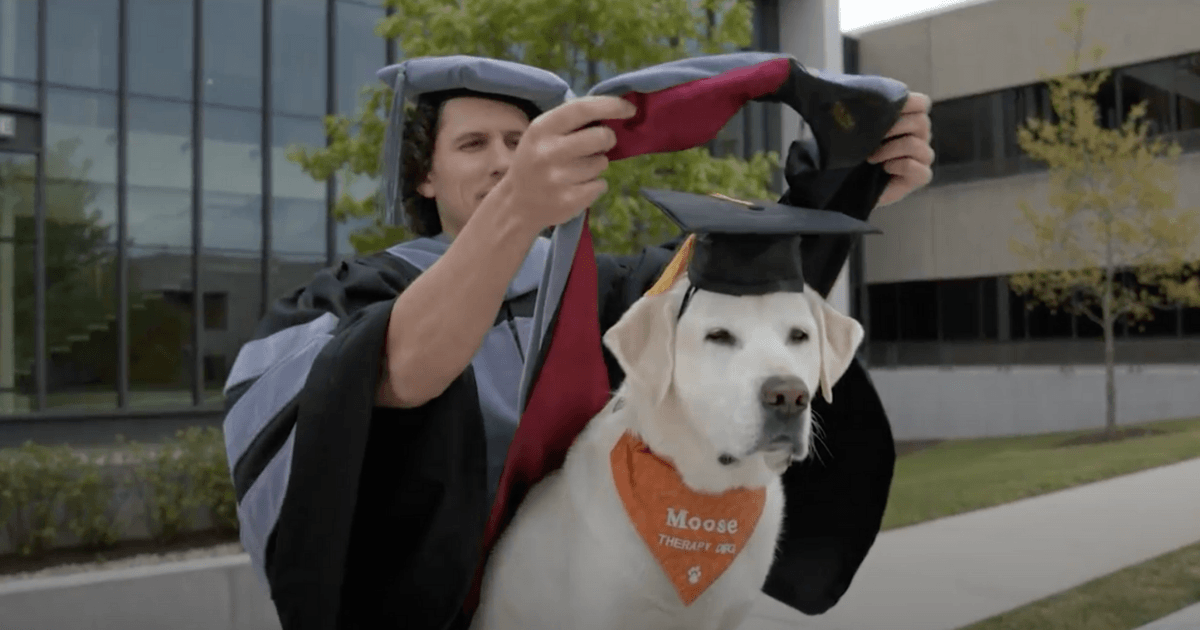 Therapy Dog Awarded Honorary Veterinary Dogtorate - US Vet Portfolio 2025