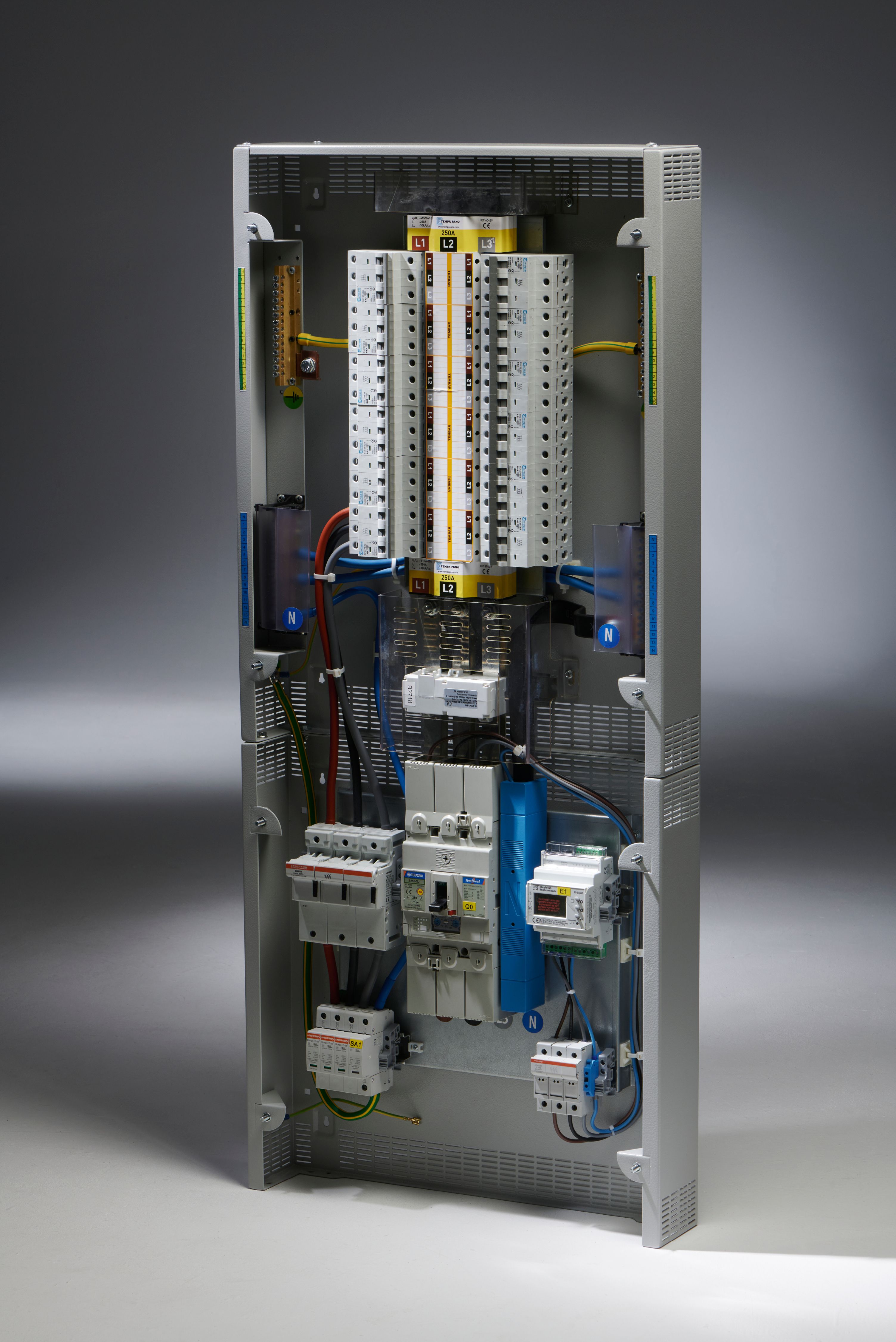 Sentinel 250A TPN Boards - Plants & Asset Management 2022