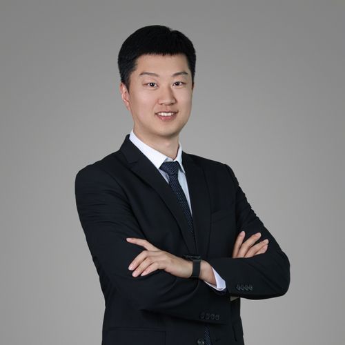 Brazilian Telecom Operators - Capacity LATAM 2025