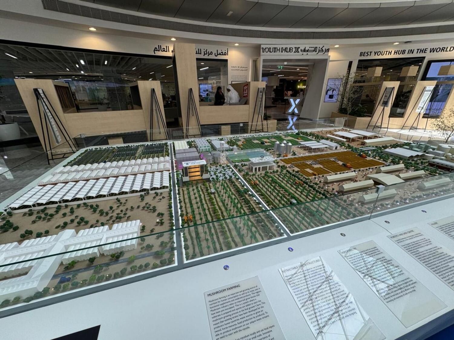 Drones, food tech valley: Dubai 'arid farm of the future' to launch ...