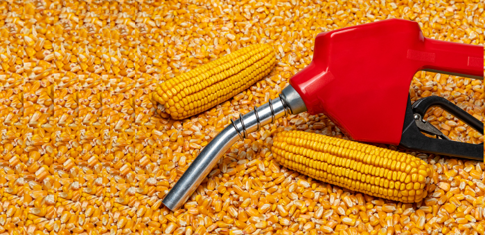 Airlines Race Toward a Future of Powering Their Jets With Corn ...