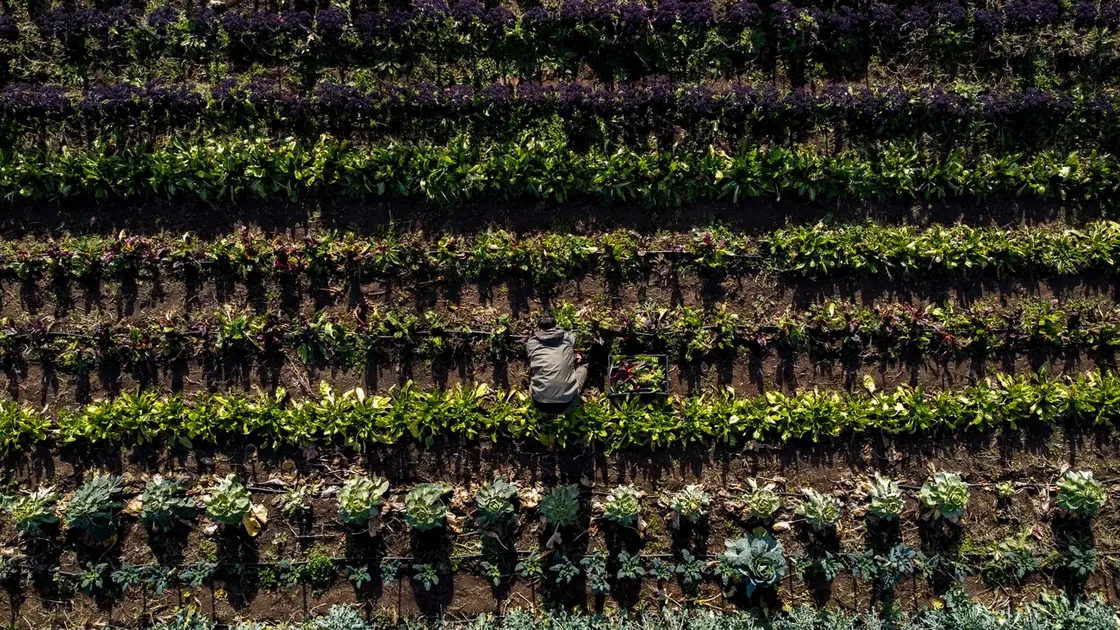 Can the world feed 8bn people sustainably? - Gulfood 2025
