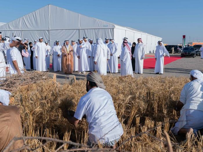 Watch: Sharjah Ruler witnesses Maliha wheat farm harvest - Gulfood 2025