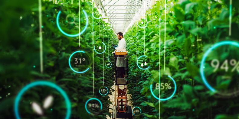 Nurturing Sustainability: Cultivating a Brighter Food Future in the UAE ...