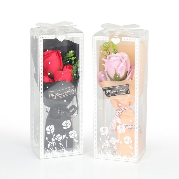 Plastic gift packaging box - APPEX