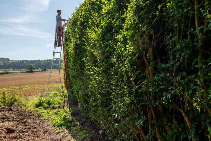 Henchman Fully Adjustable PRO Tripod Ladder - Saltex 2023