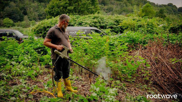 RootWave Pro - SALTEX