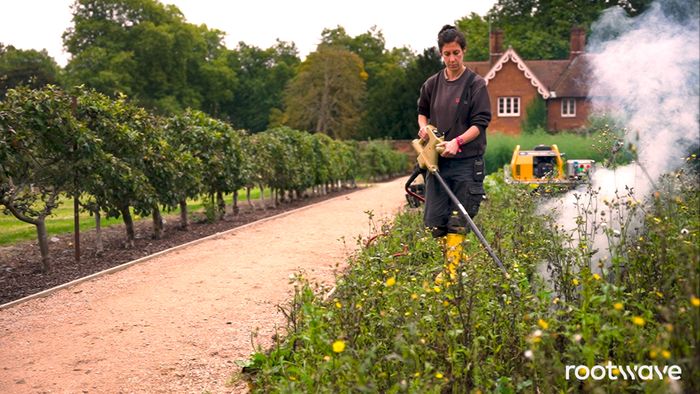 RootWave Pro - Saltex 2024