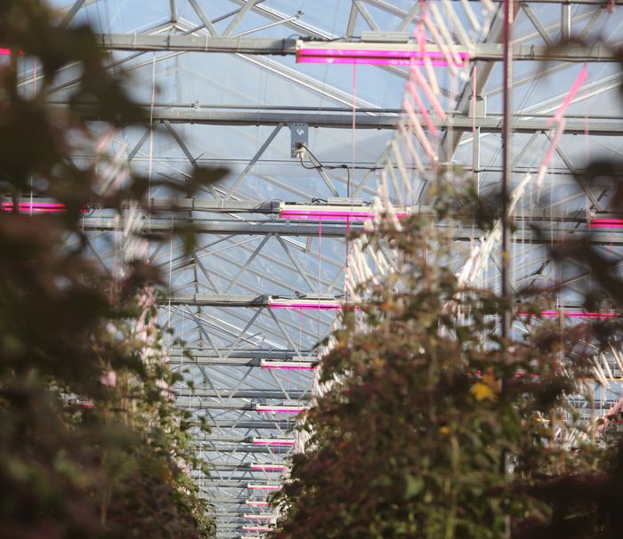 Food Autonomy Flexi-Grow Greenhouse Toplight - Fruit Focus 2025